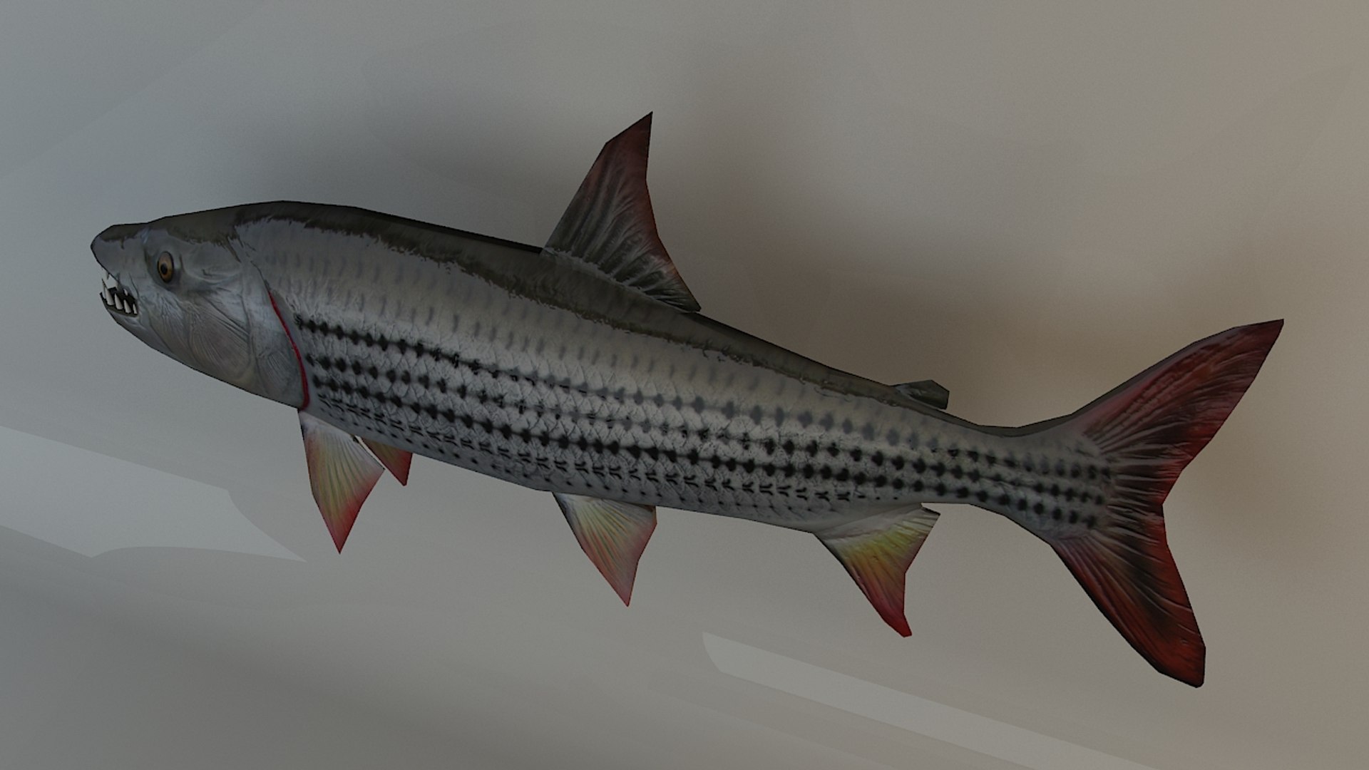 3D Tiger Fish - TurboSquid 1154460