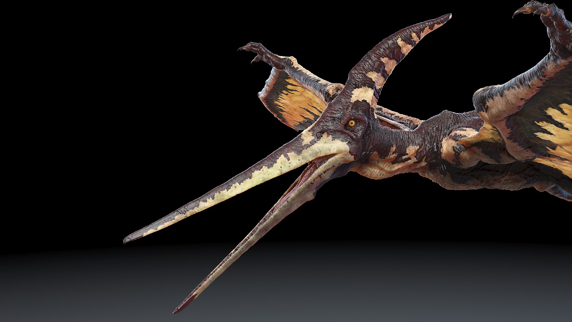 Pteranodon 3D model - TurboSquid 1589226