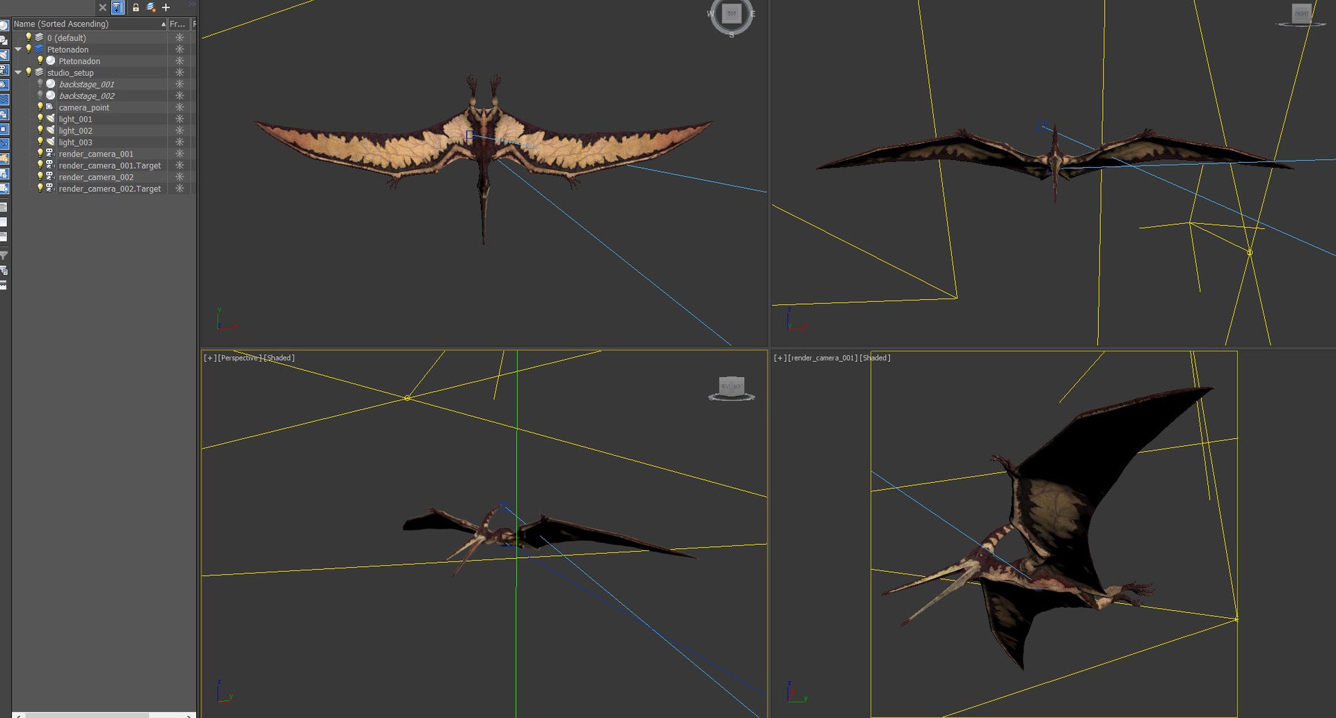 Pteranodon 3D model - TurboSquid 1589226