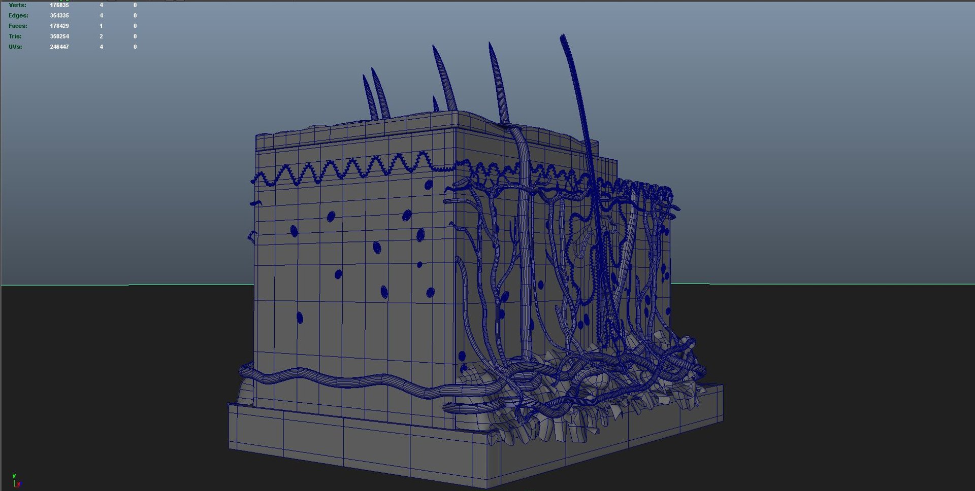 3D Human Skin Cell Anatomy In Skin - TurboSquid 1831535