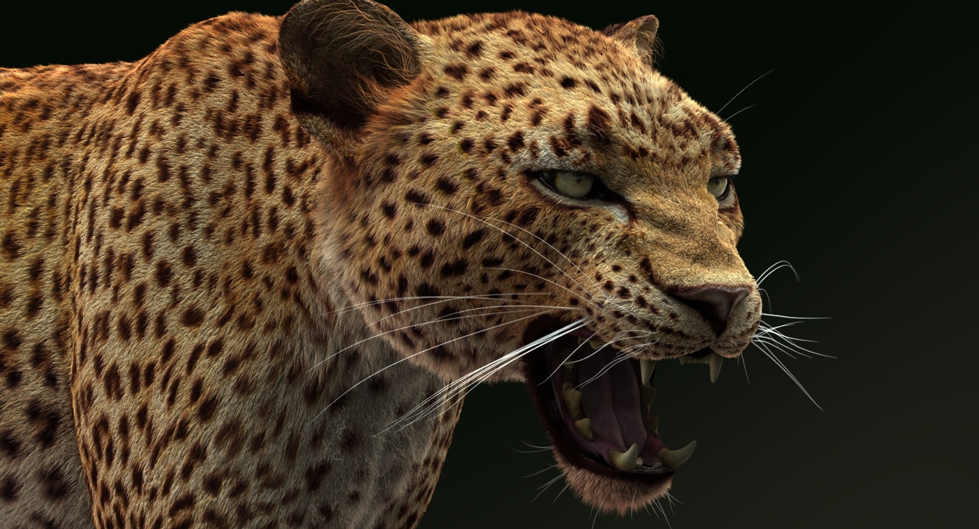 3D Leopard 3 Fur - TurboSquid 1353714
