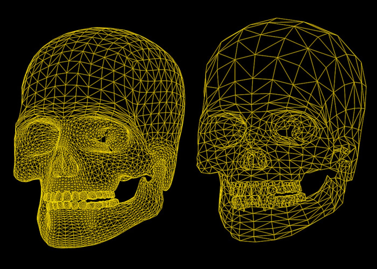 Skull Human Real Dxf