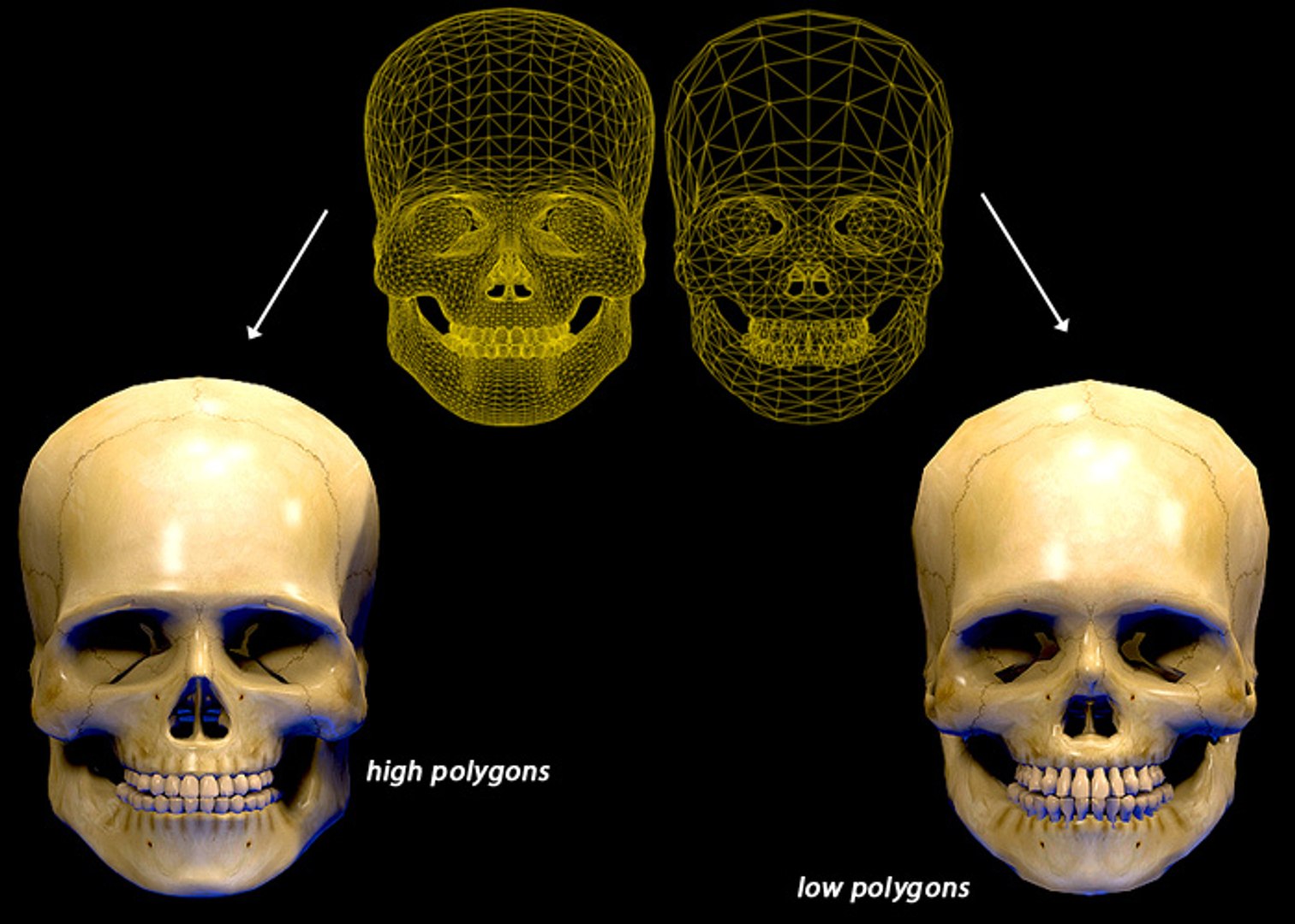 Skull Human Real Dxf