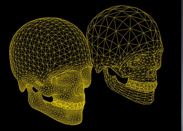 skull human real dxf