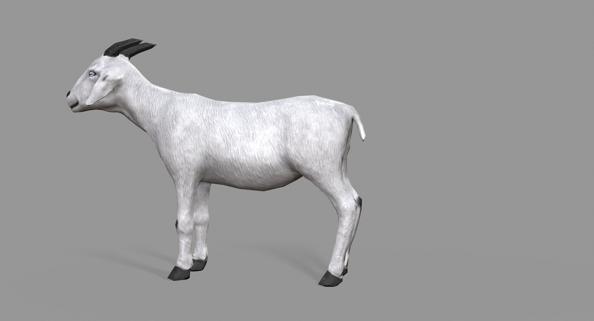 3D Pbr Goat - TurboSquid 1316570