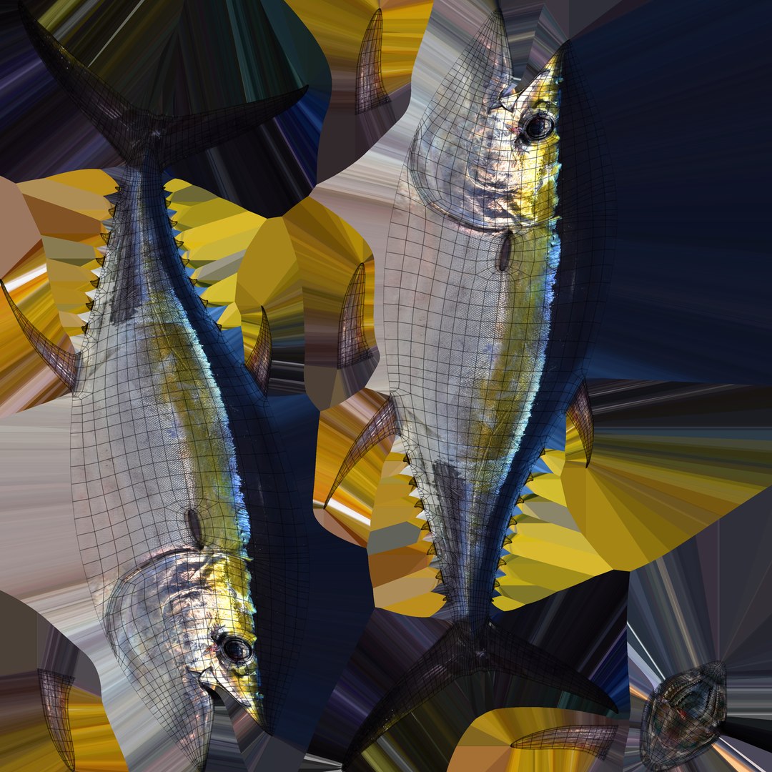 Yellowfin Tuna 3D Model - TurboSquid 1295530