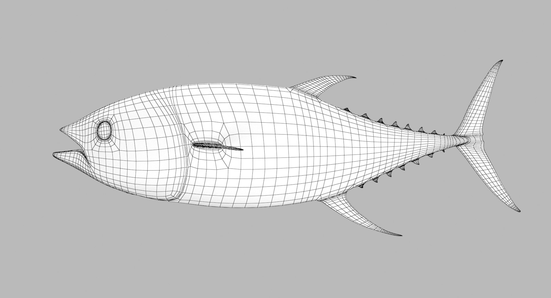Yellowfin Tuna 3D Model - TurboSquid 1295530