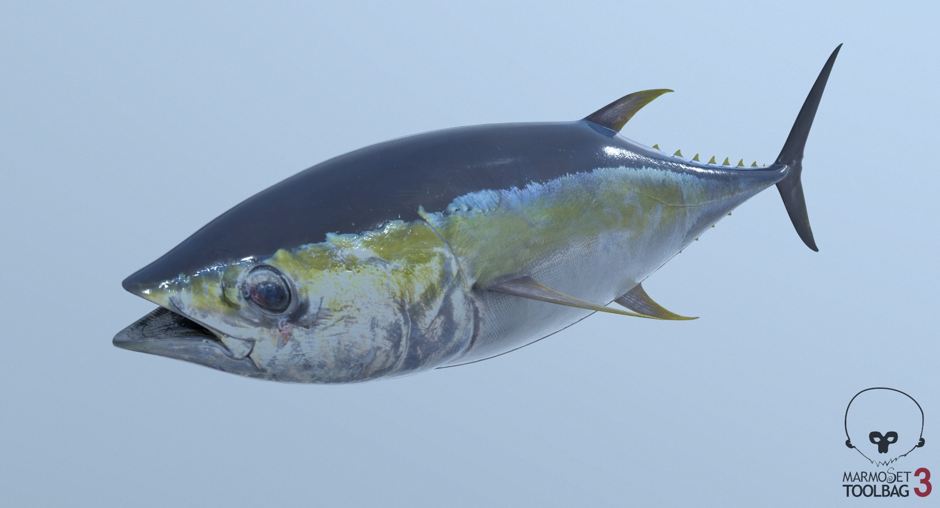 Yellowfin Tuna 3D Model - TurboSquid 1295530