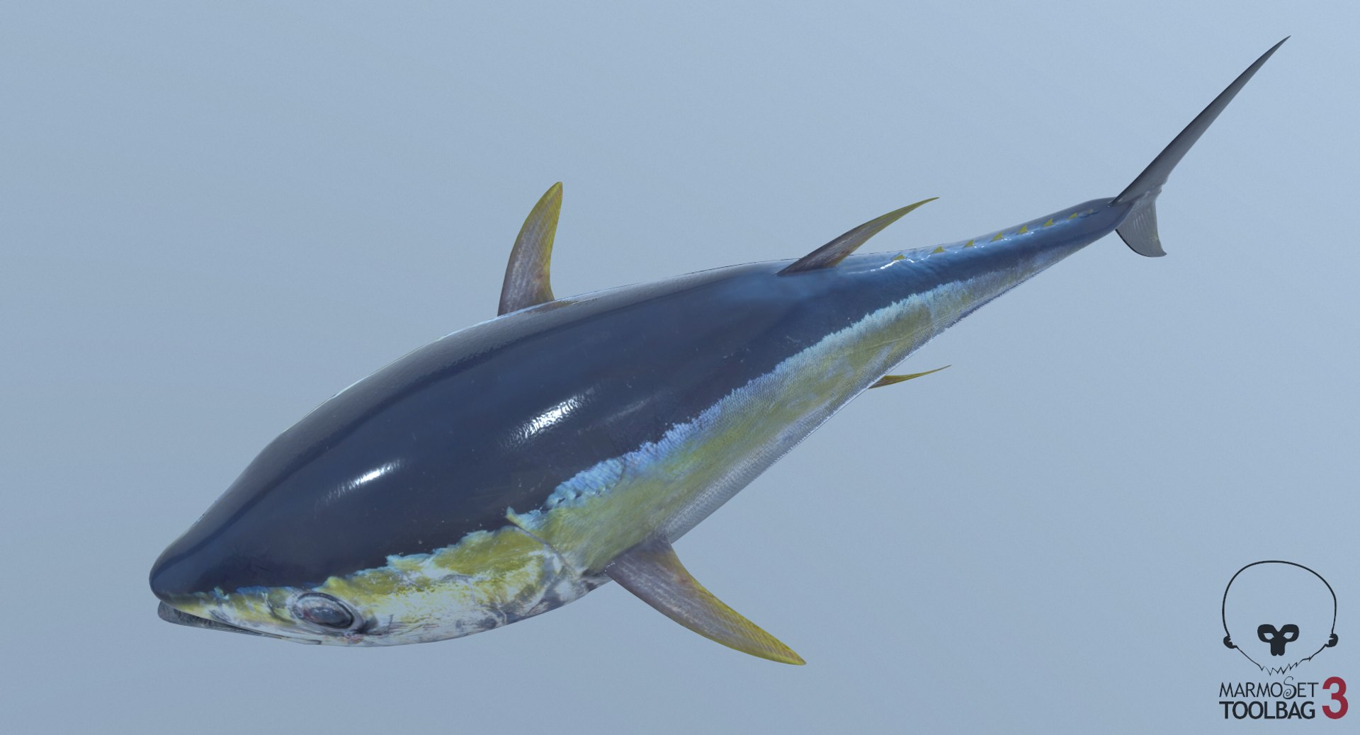 Yellowfin Tuna 3D Model - TurboSquid 1295530