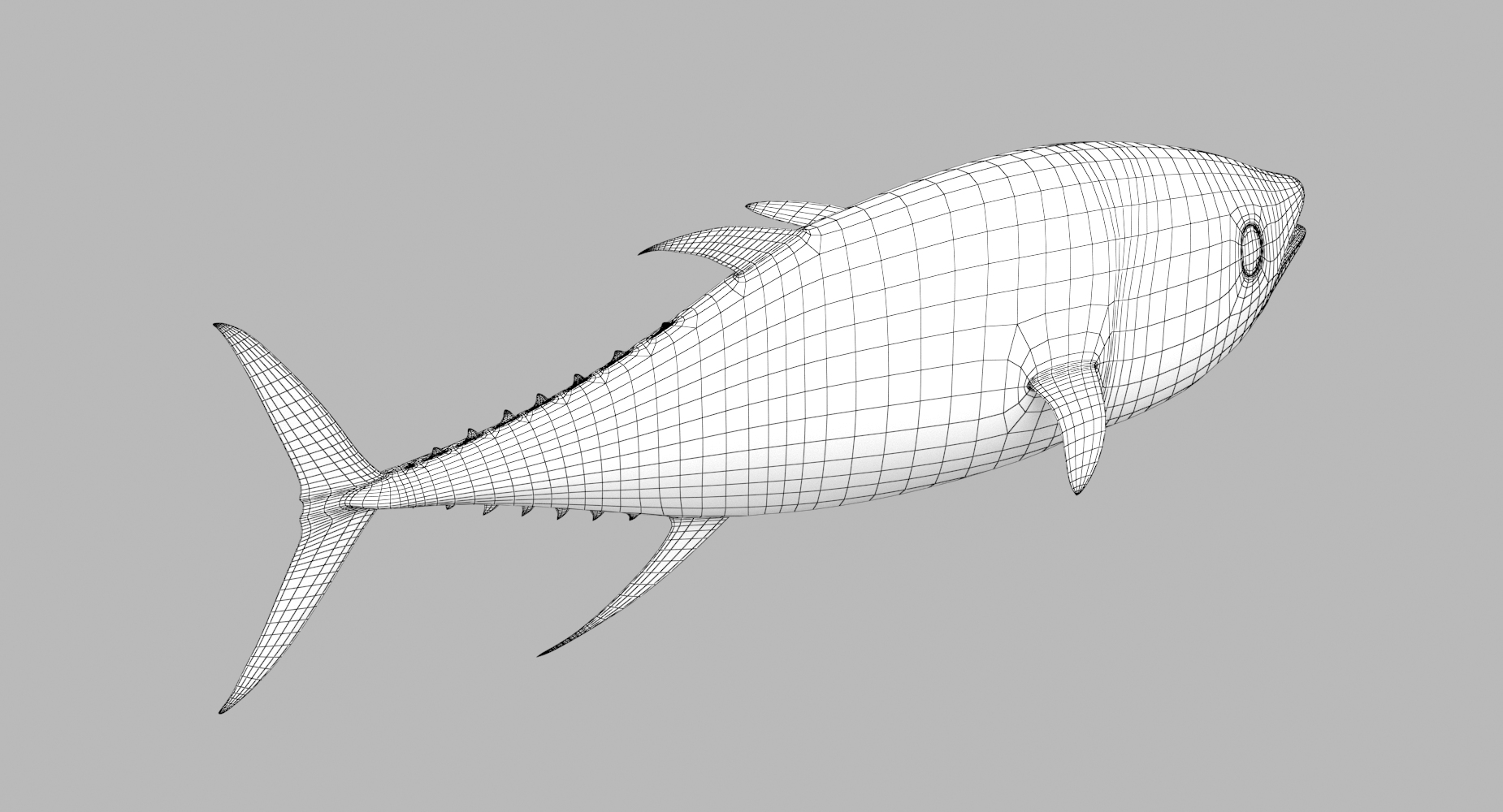 Yellowfin tuna 3D model - TurboSquid 1295530