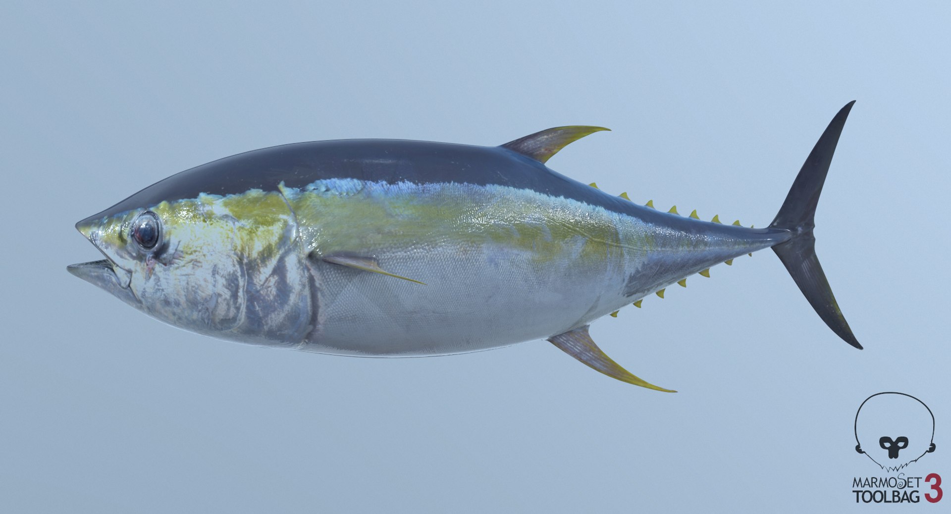 Yellowfin Tuna 3D Model - TurboSquid 1295530