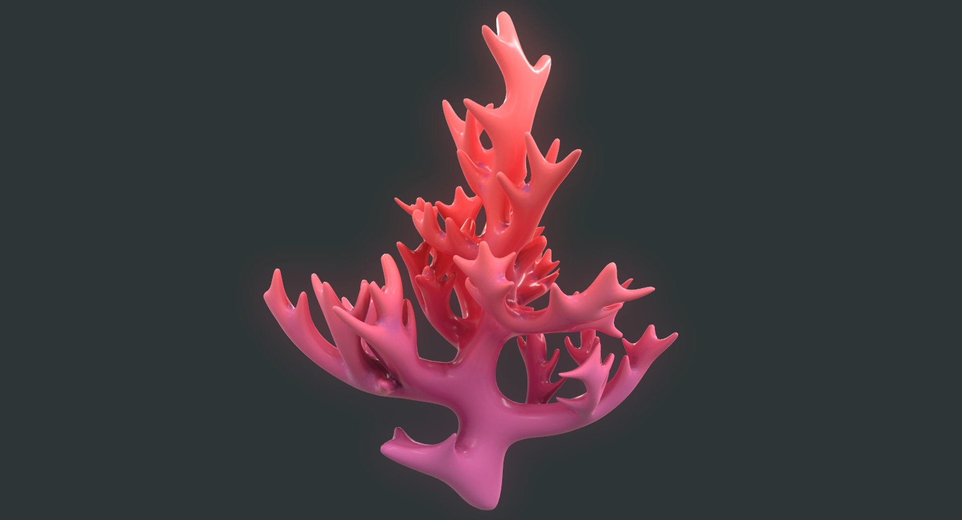 Modeled Coral 3D Model - TurboSquid 1425235