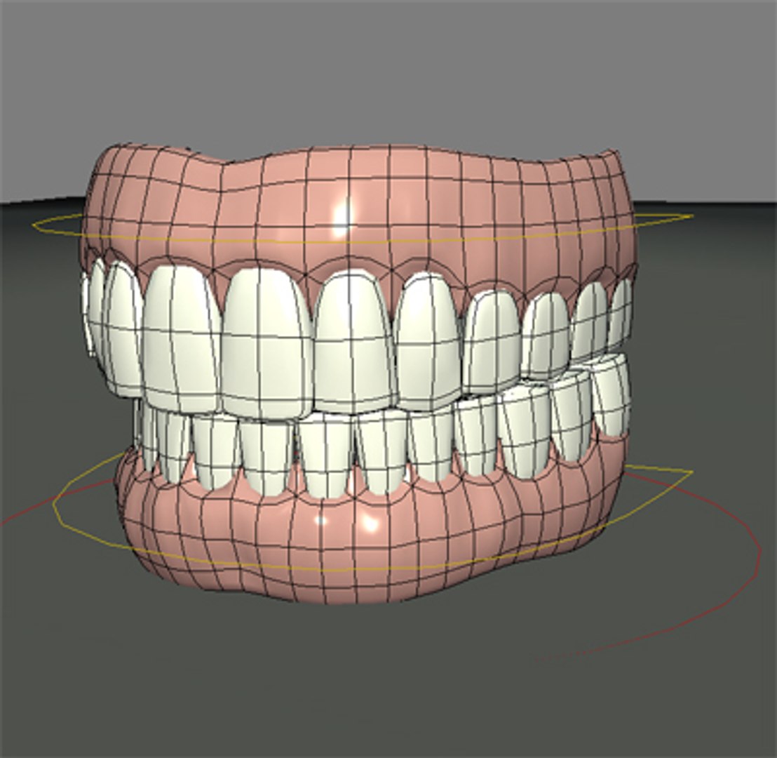 Dentures 3d Model