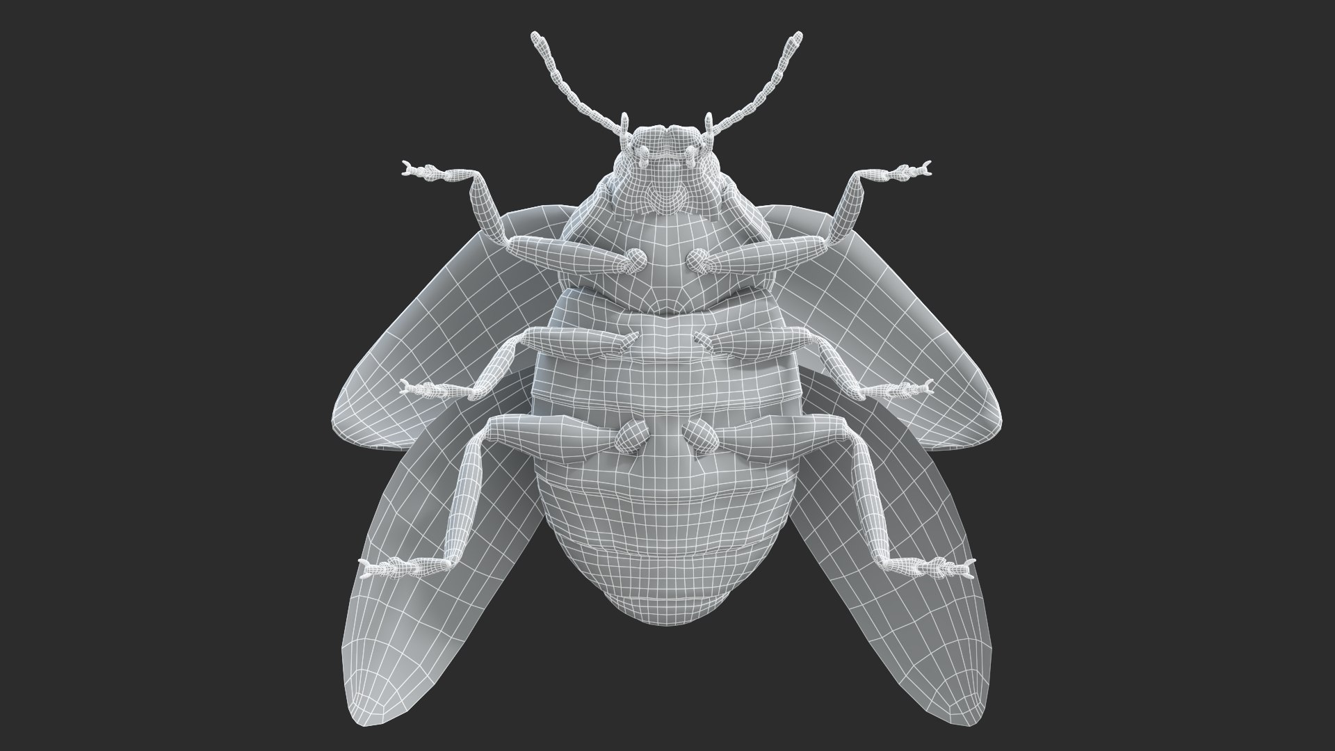 3D Potato Beetle Static Model - TurboSquid 2067863