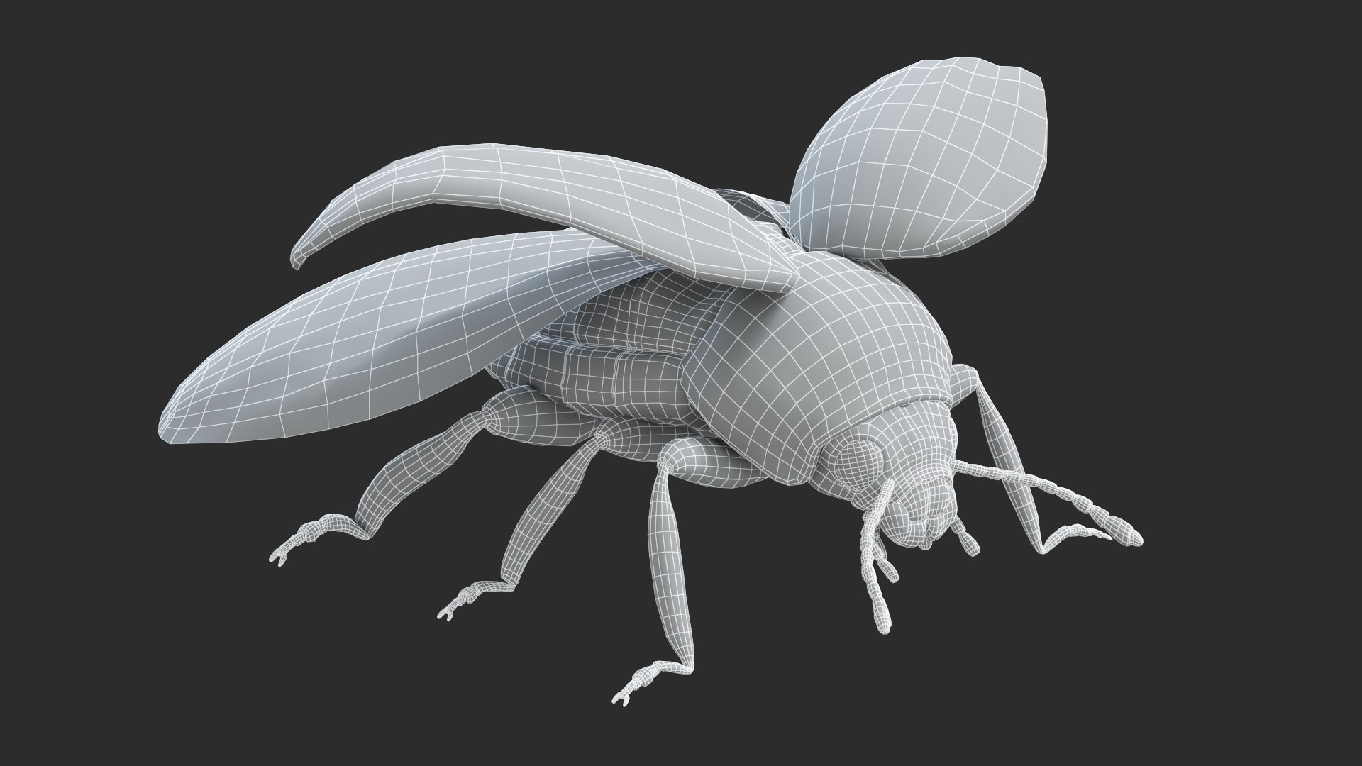 3D Potato Beetle Static Model - TurboSquid 2067863