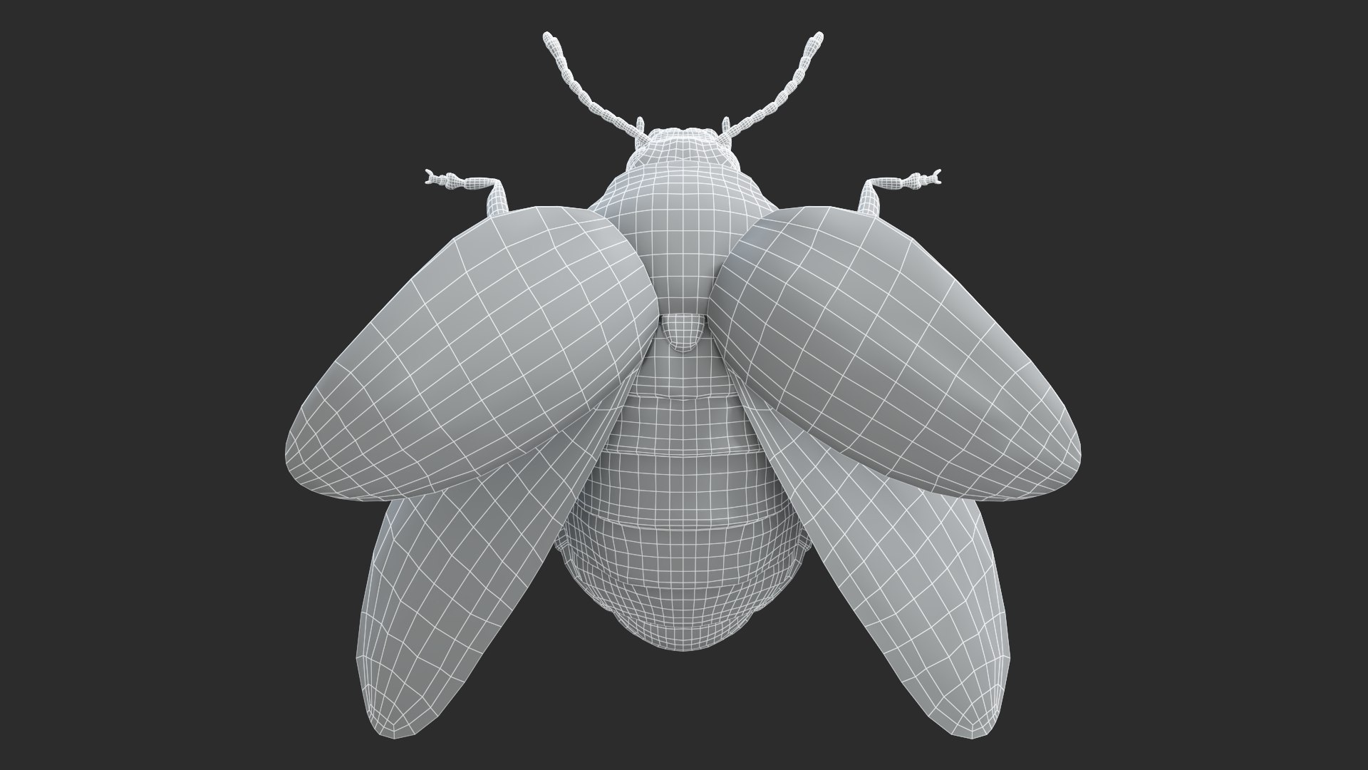 3D Potato Beetle Static Model - TurboSquid 2067863
