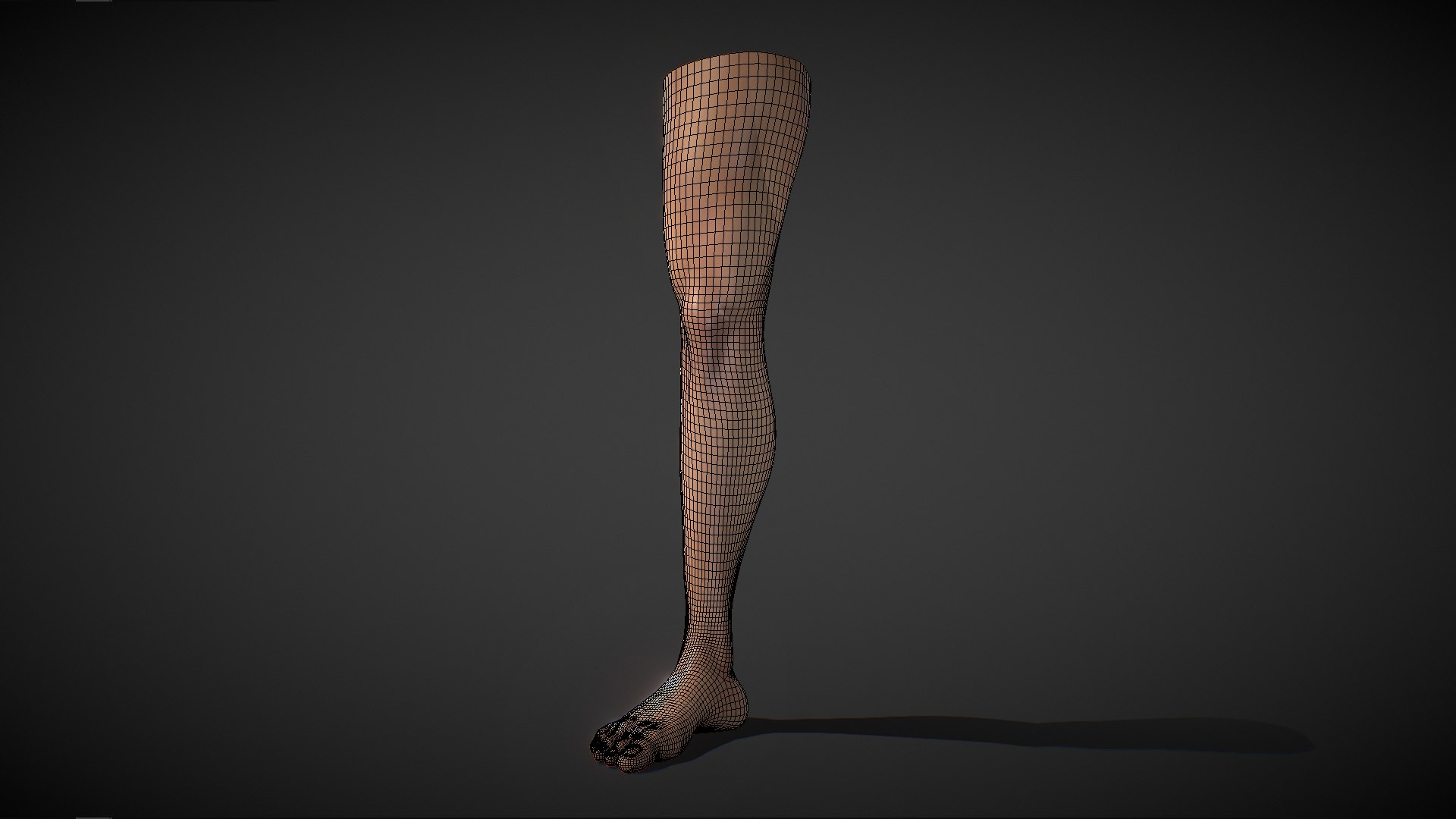 3D Fit Male Anatomy - Leg And Foot Base Mesh - TurboSquid 1843584