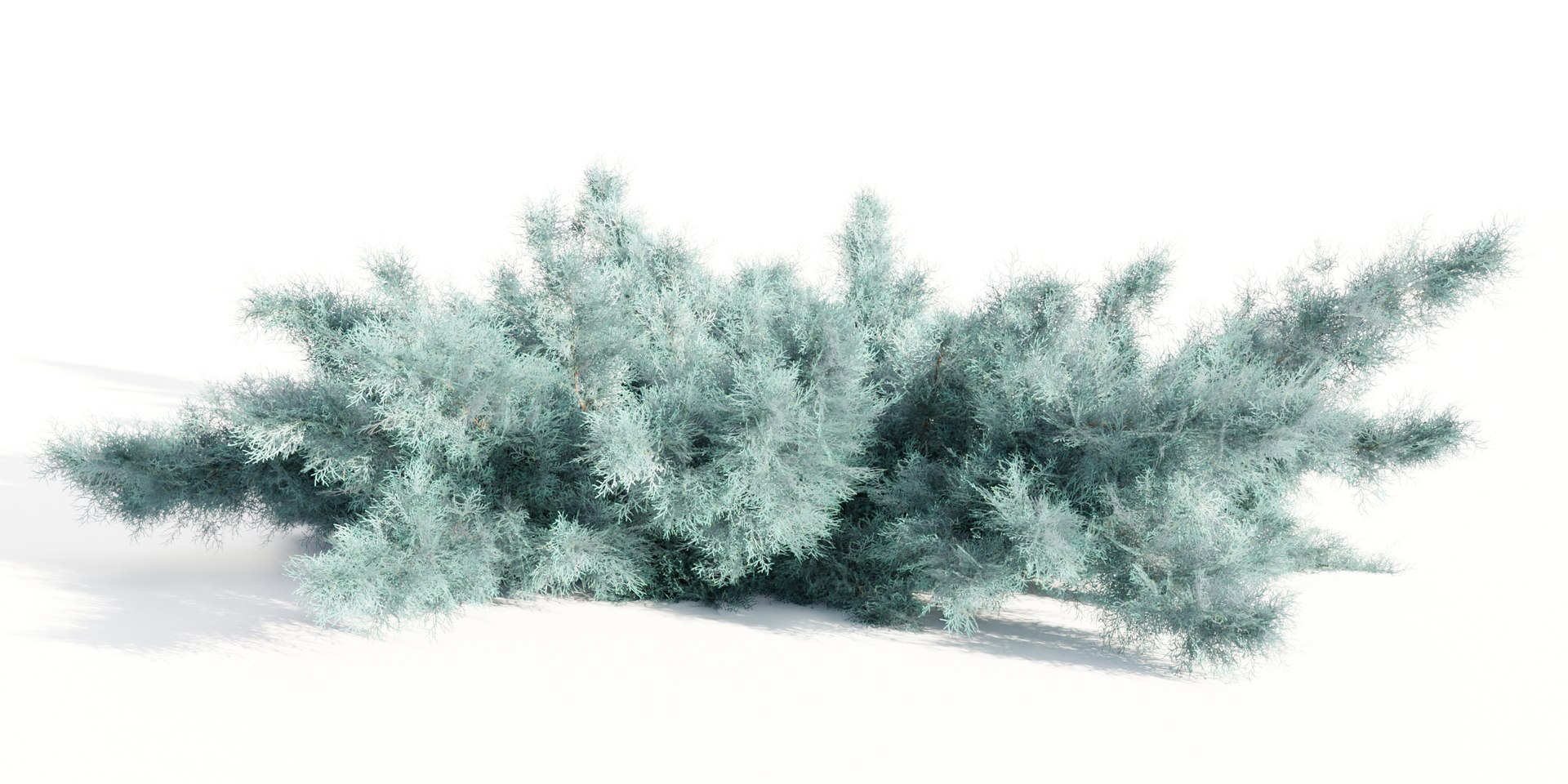 3D Model Juniper Garden Collection Vol 143-Blender-3DModels ...