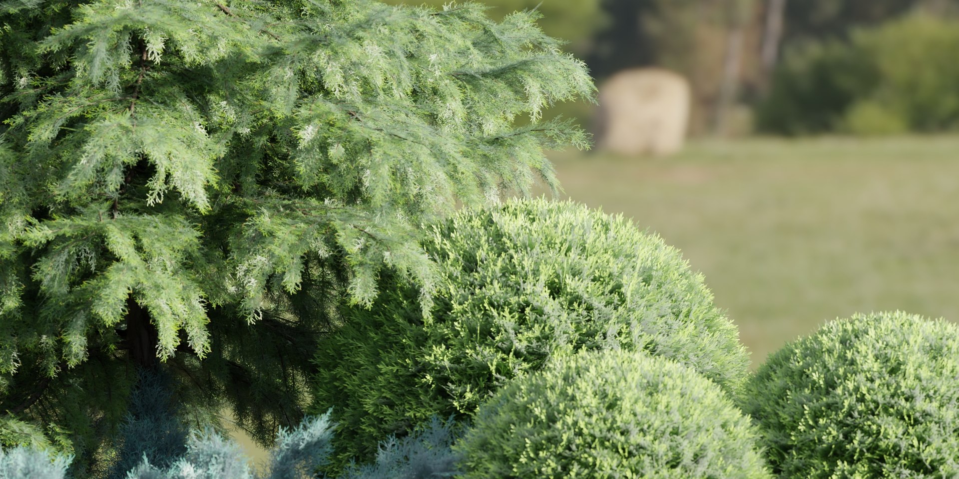3D Model Juniper Garden Collection Vol 143-Blender-3DModels ...