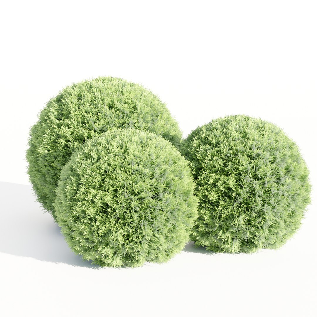 3D Model Juniper Garden Collection Vol 143-Blender-3DModels ...