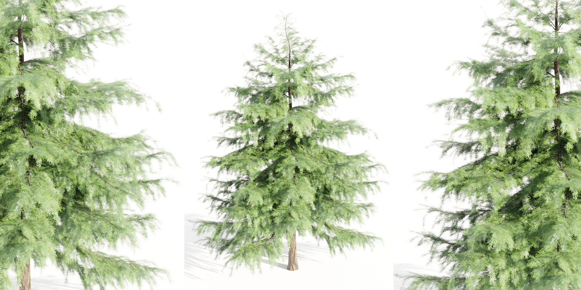 3D Model Juniper Garden Collection Vol 143-Blender-3DModels ...