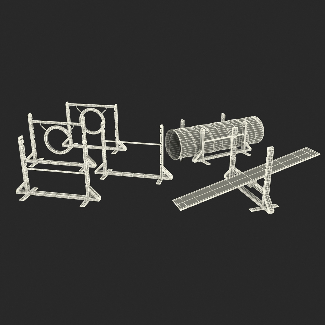 Dog Agility Equipment 3d Model