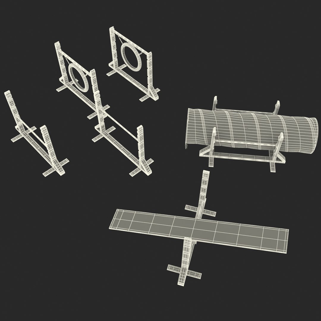 Dog Agility Equipment 3d Model