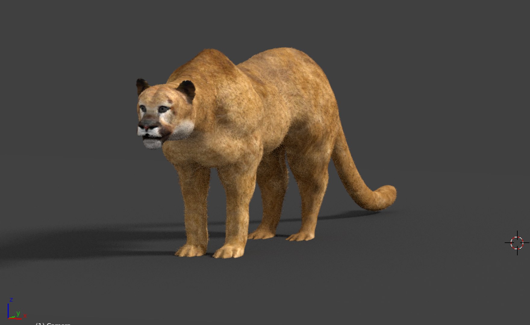 3D Puma - TurboSquid 1385892
