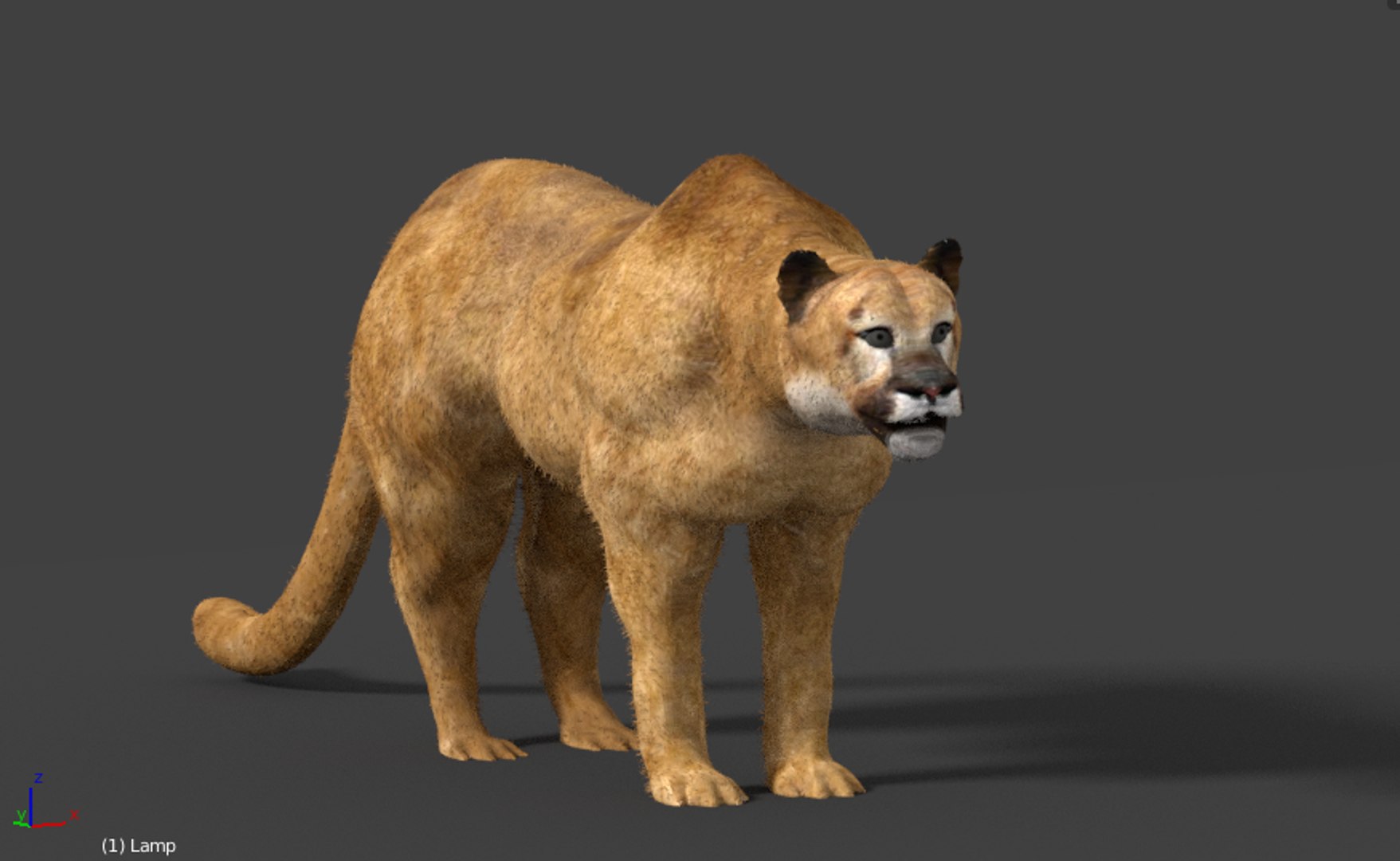3D Puma - TurboSquid 1385892
