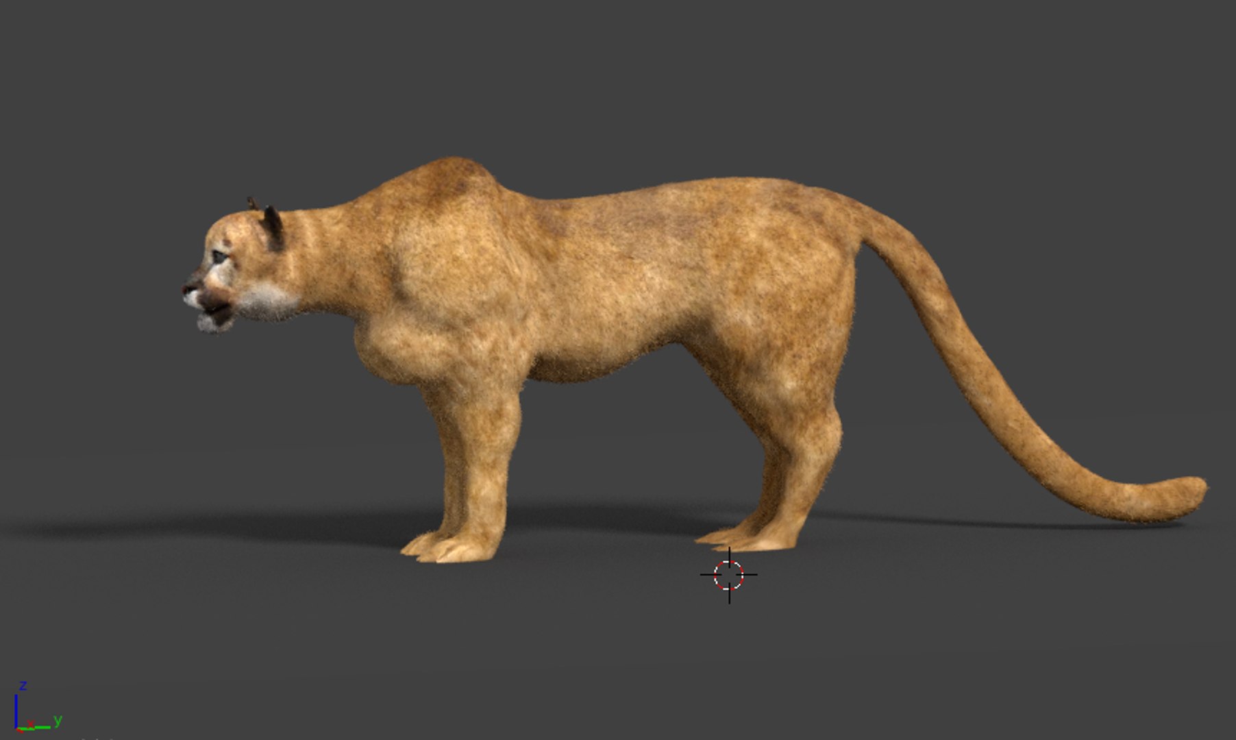 3D Puma - TurboSquid 1385892