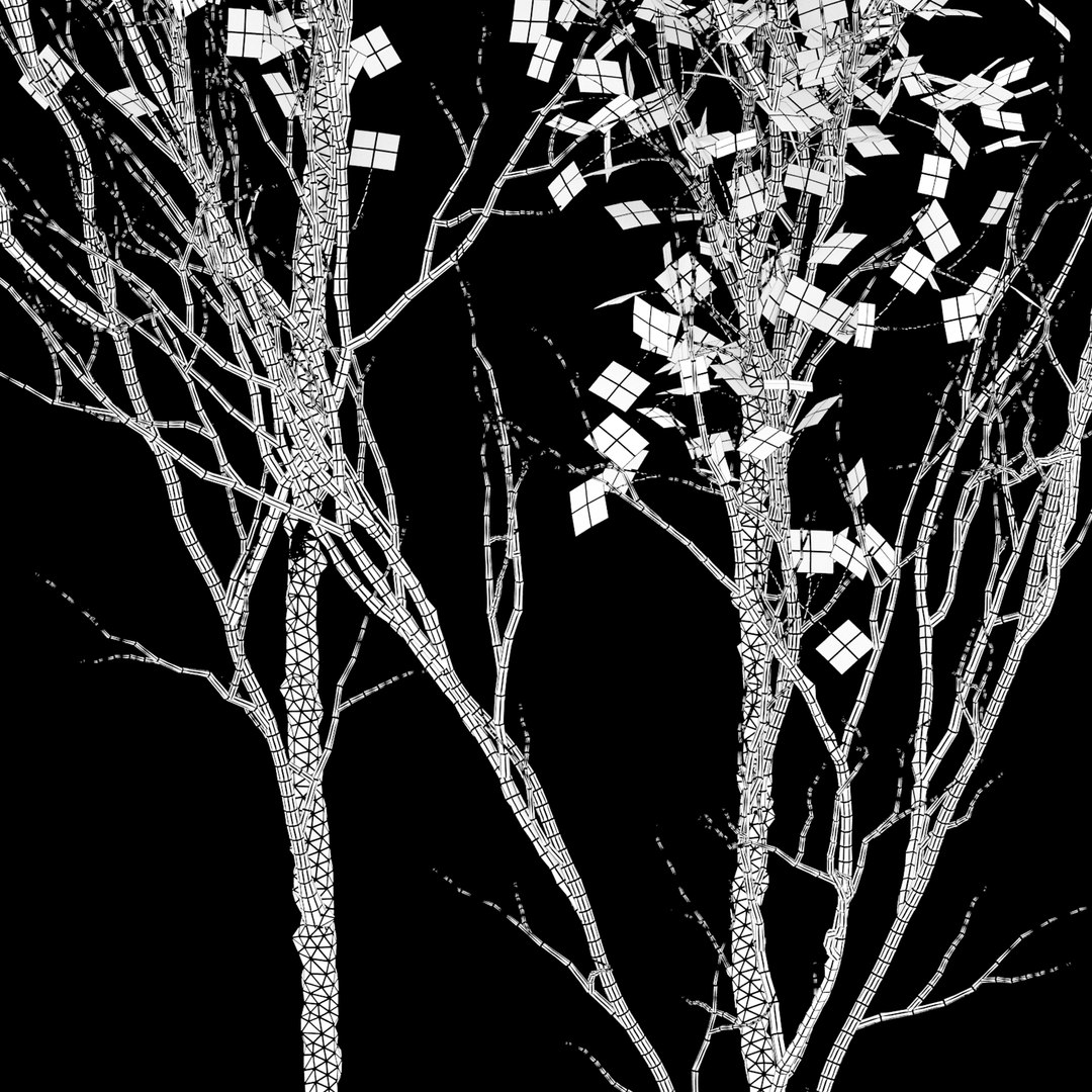 3D Model Aspen Trees Set 03 - TurboSquid 1980718