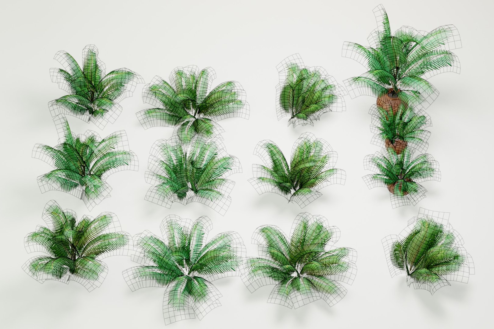 3D Houseplant Pack M03 model - TurboSquid 2037096