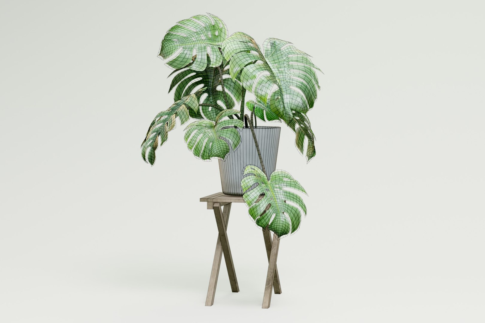 3D Houseplant Pack M03 model - TurboSquid 2037096