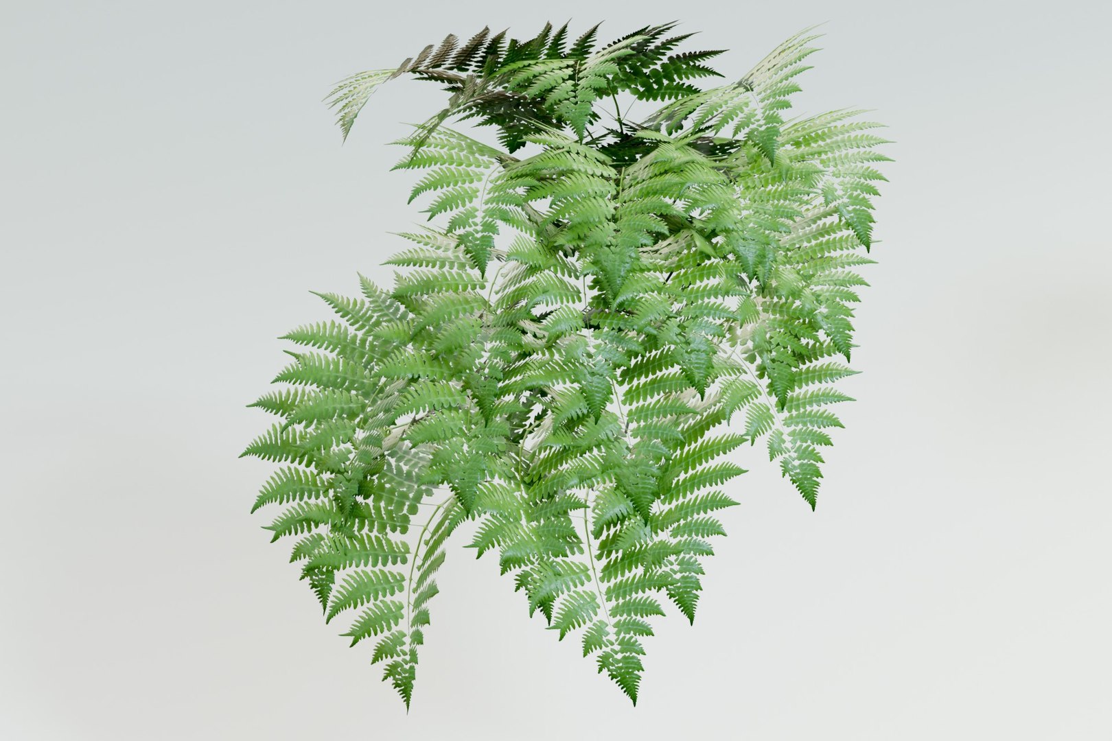 3D Houseplant Pack M03 model - TurboSquid 2037096