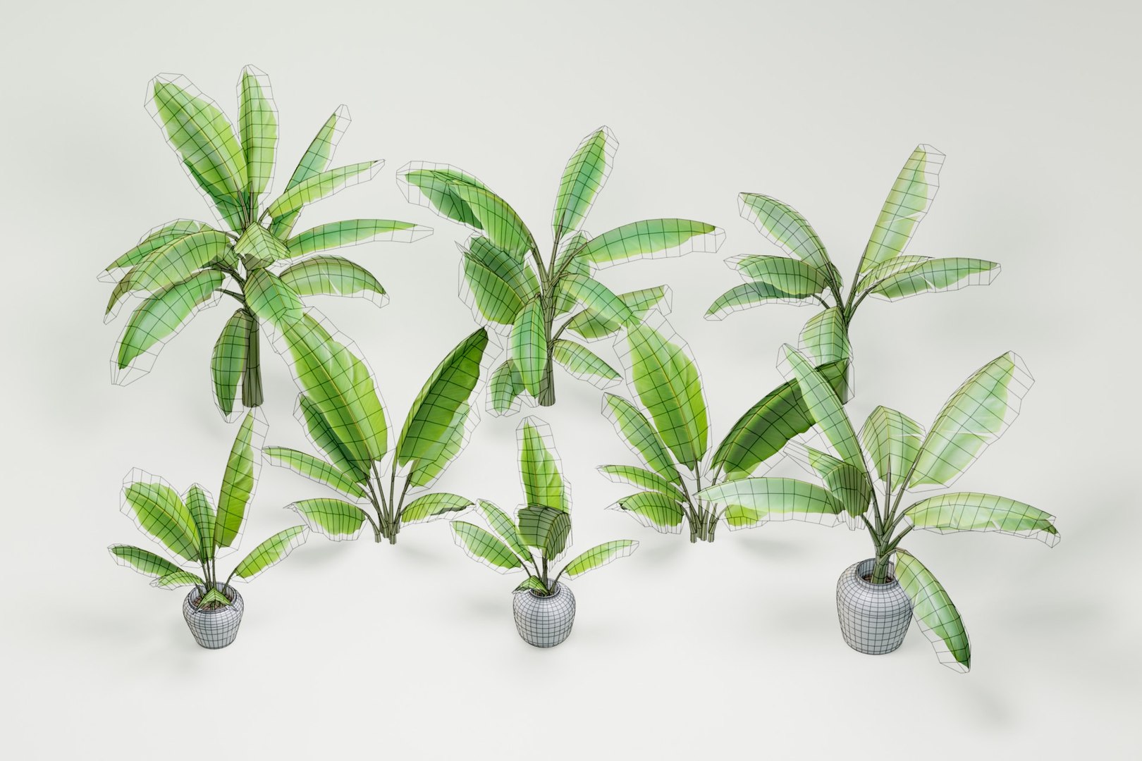 3D Houseplant Pack M03 model - TurboSquid 2037096