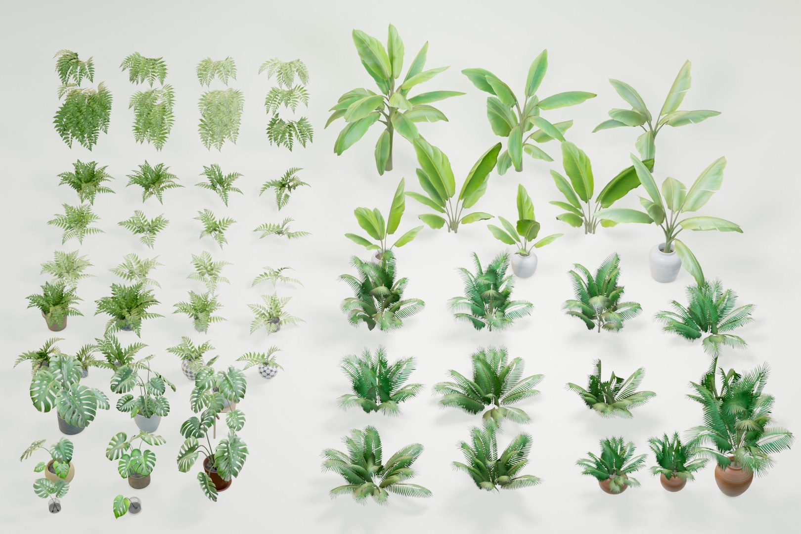 3D Houseplant Pack M03 model - TurboSquid 2037096
