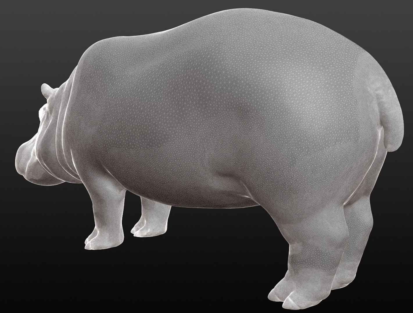 Hippopotamus base mesh 3D - TurboSquid 1726461