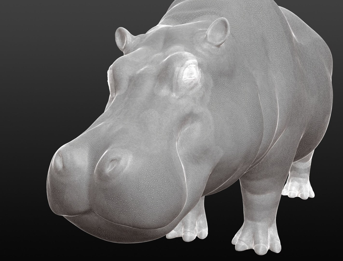 Hippopotamus base mesh 3D - TurboSquid 1726461