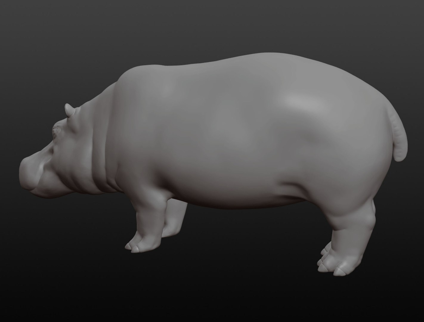 Hippopotamus base mesh 3D - TurboSquid 1726461