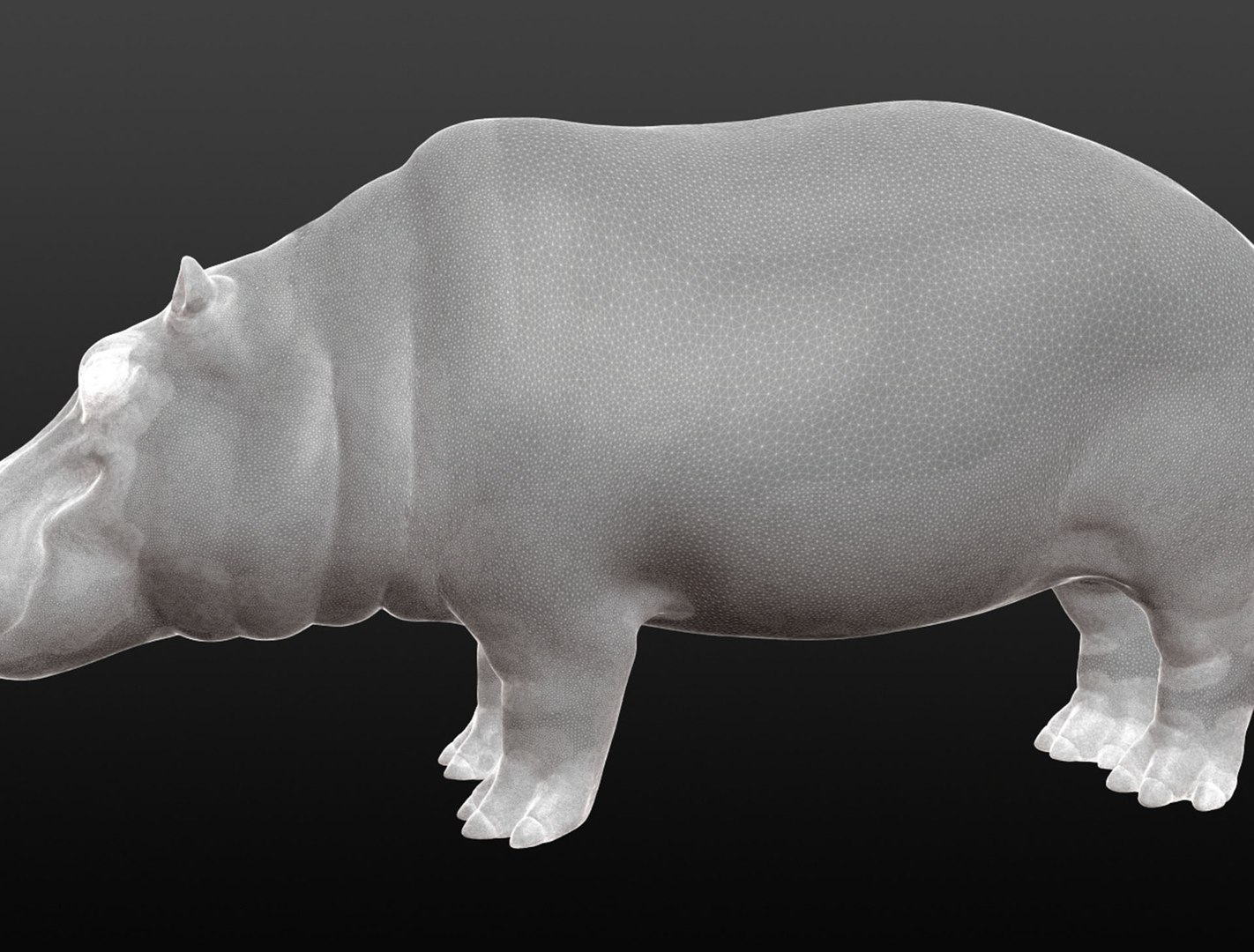 Hippopotamus base mesh 3D - TurboSquid 1726461