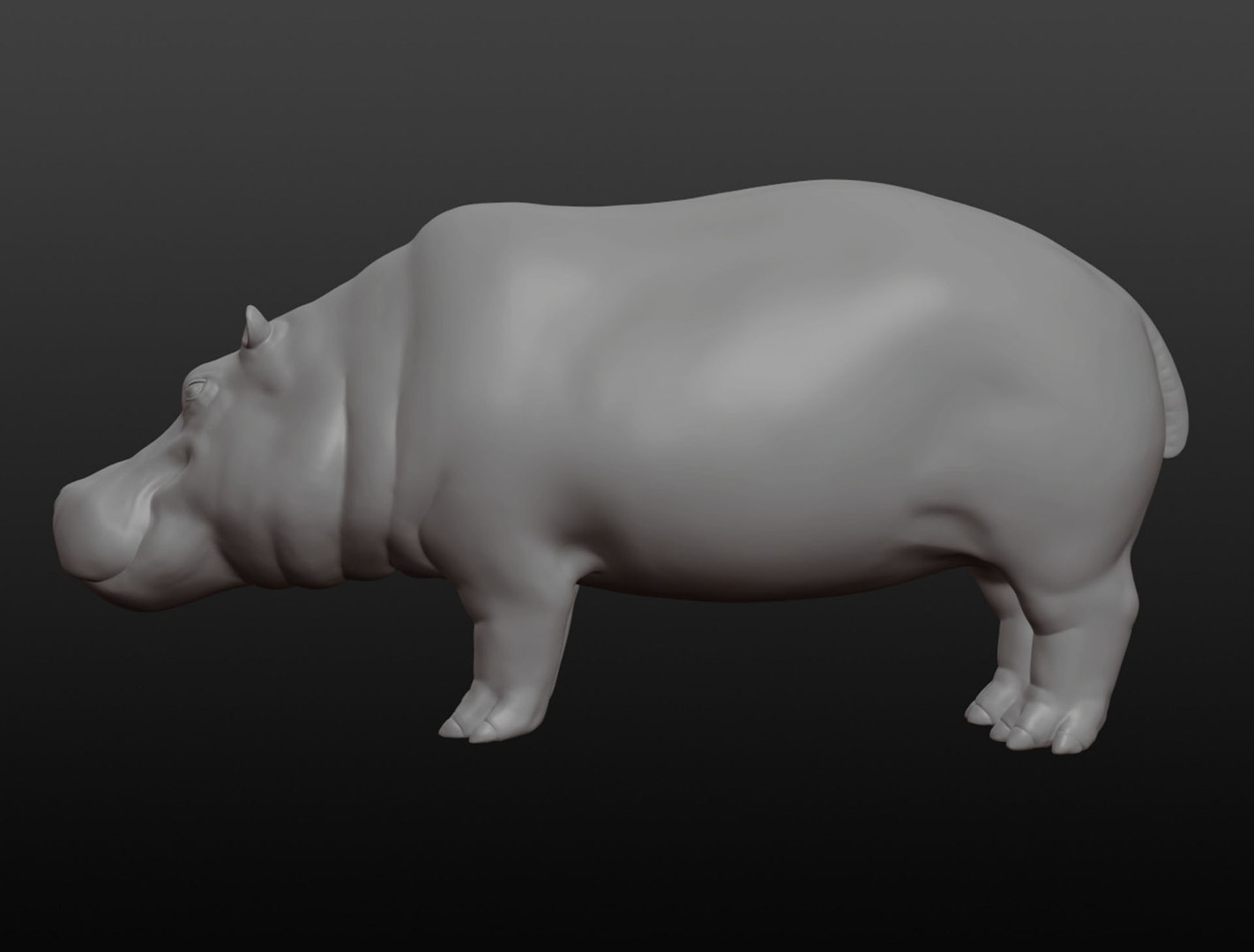 Hippopotamus base mesh 3D - TurboSquid 1726461