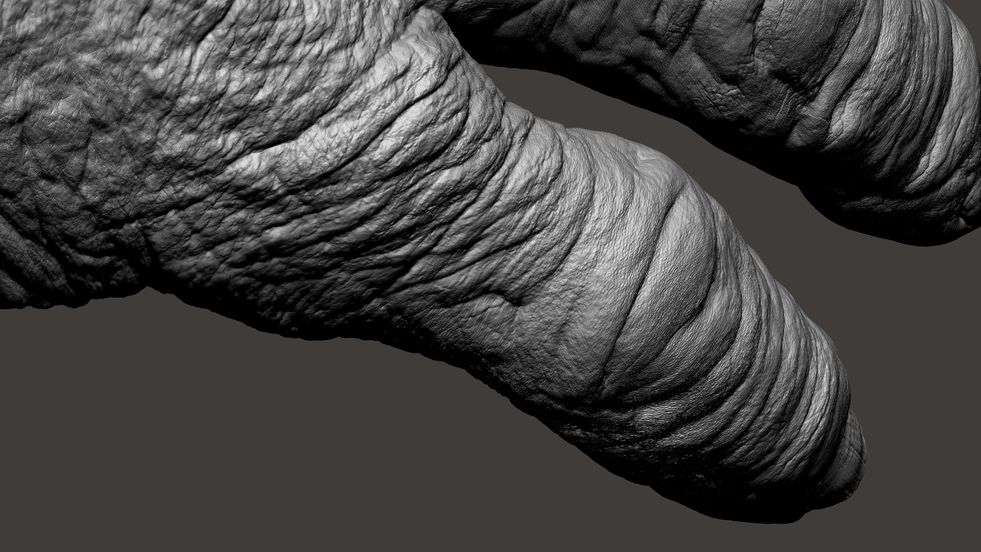 3D Gorilla Ultimate VFX Zbrush Sculpture Digitale Model TurboSquid 3d-gorilla-ultimate-vfx-zbrush-sculpture-digitale-model-turbosquid