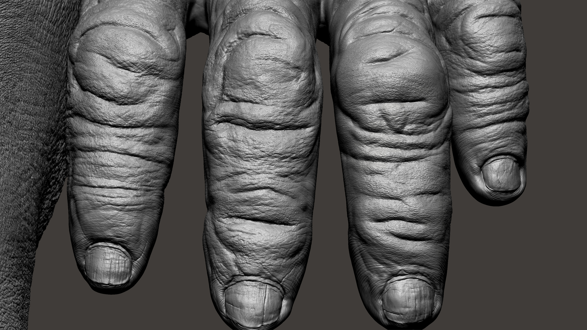 3D Gorilla Ultimate VFX Zbrush Sculpture Digitale Model TurboSquid 3d-gorilla-ultimate-vfx-zbrush-sculpture-digitale-model-turbosquid