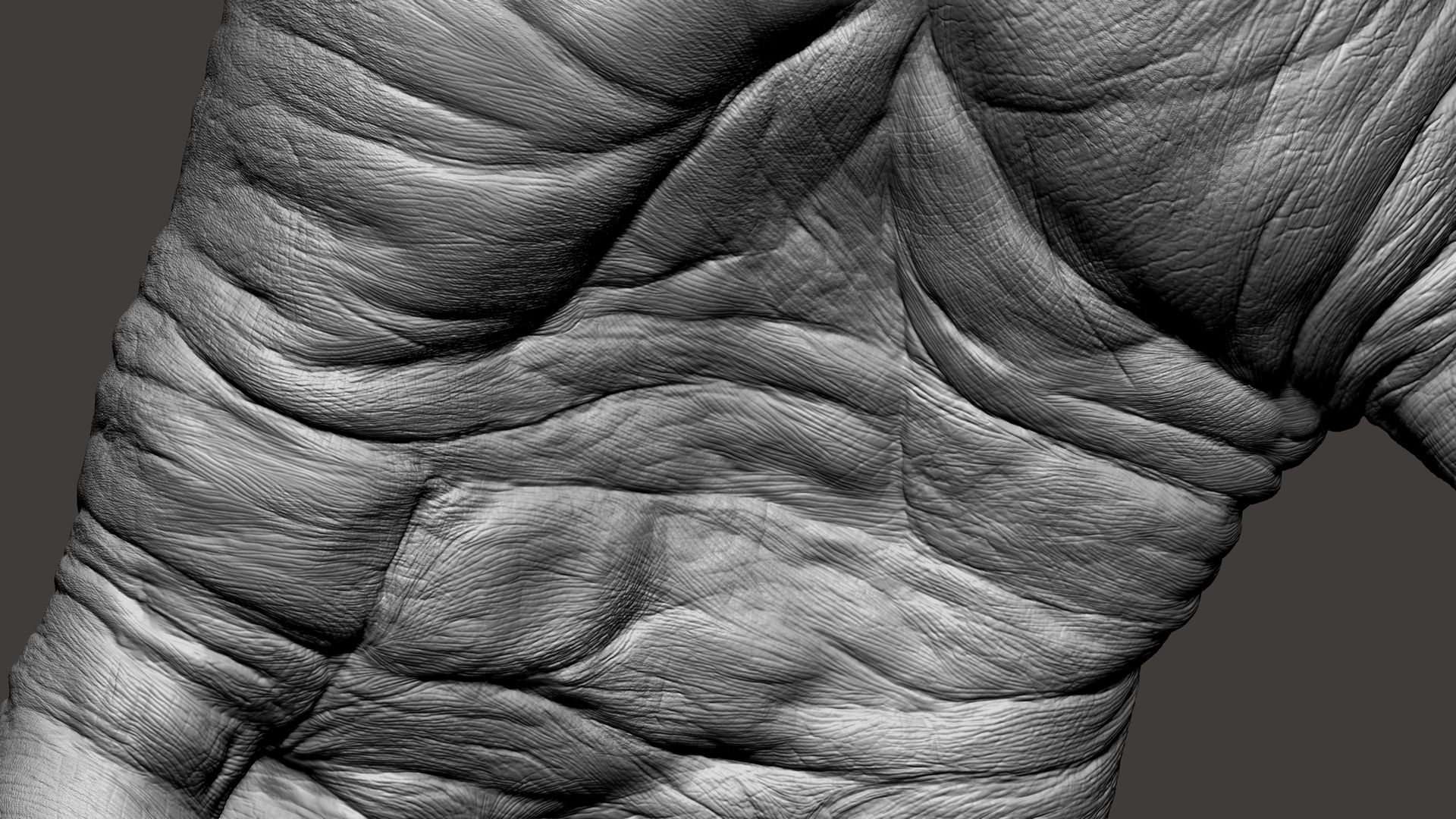 3D Gorilla Ultimate VFX Zbrush Sculpture Digitale Model TurboSquid 3d-gorilla-ultimate-vfx-zbrush-sculpture-digitale-model-turbosquid