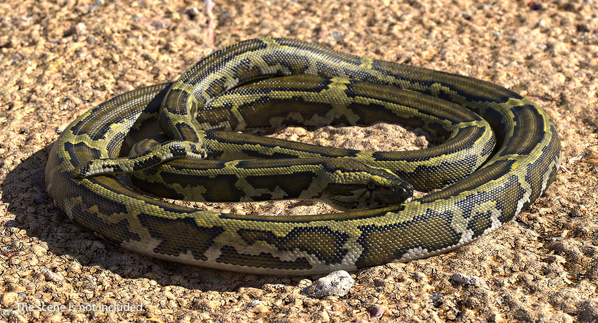 3D model green python snake rigged - TurboSquid 1417659