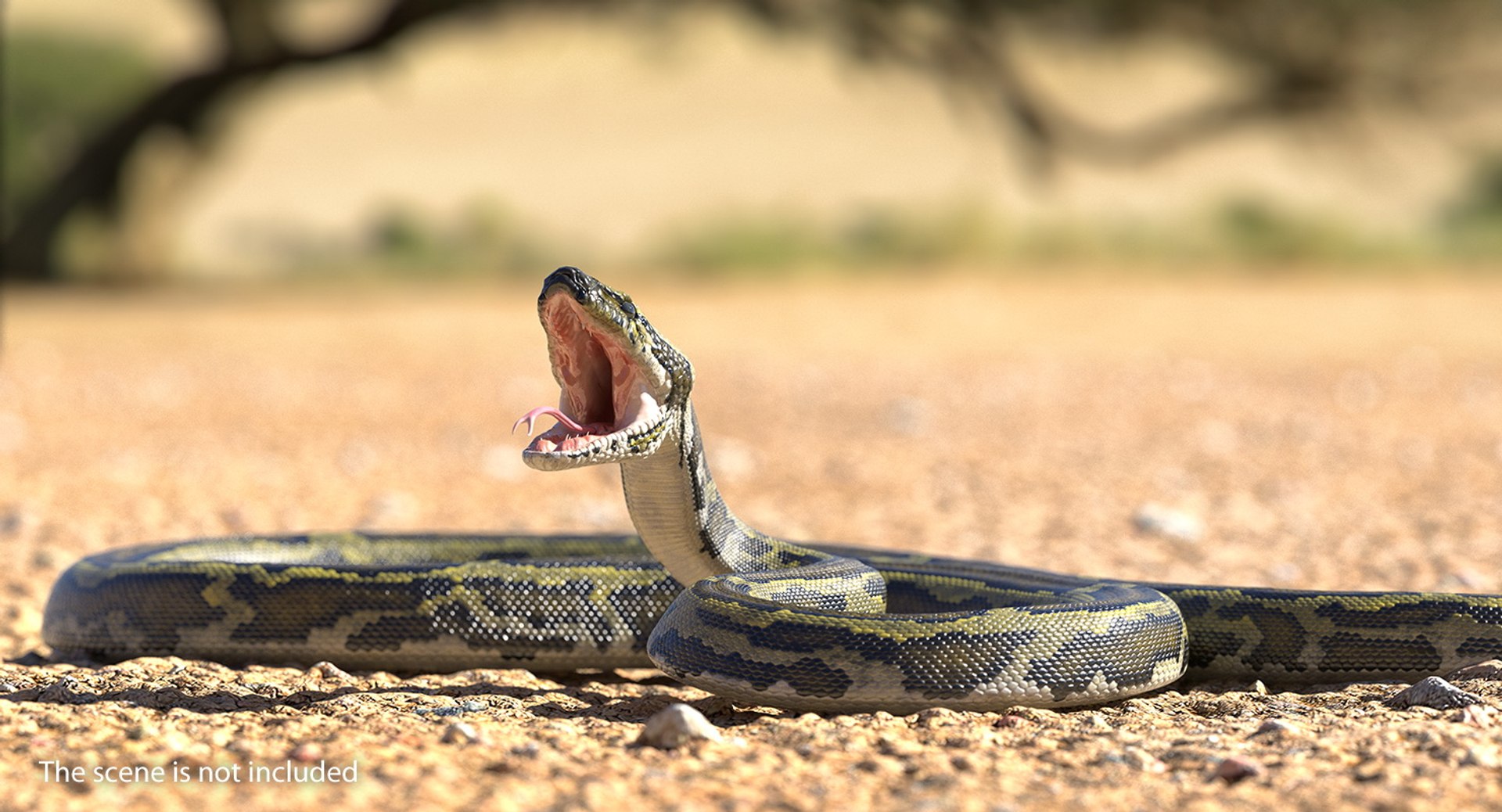 3D Model Green Python Snake Rigged - TurboSquid 1417659