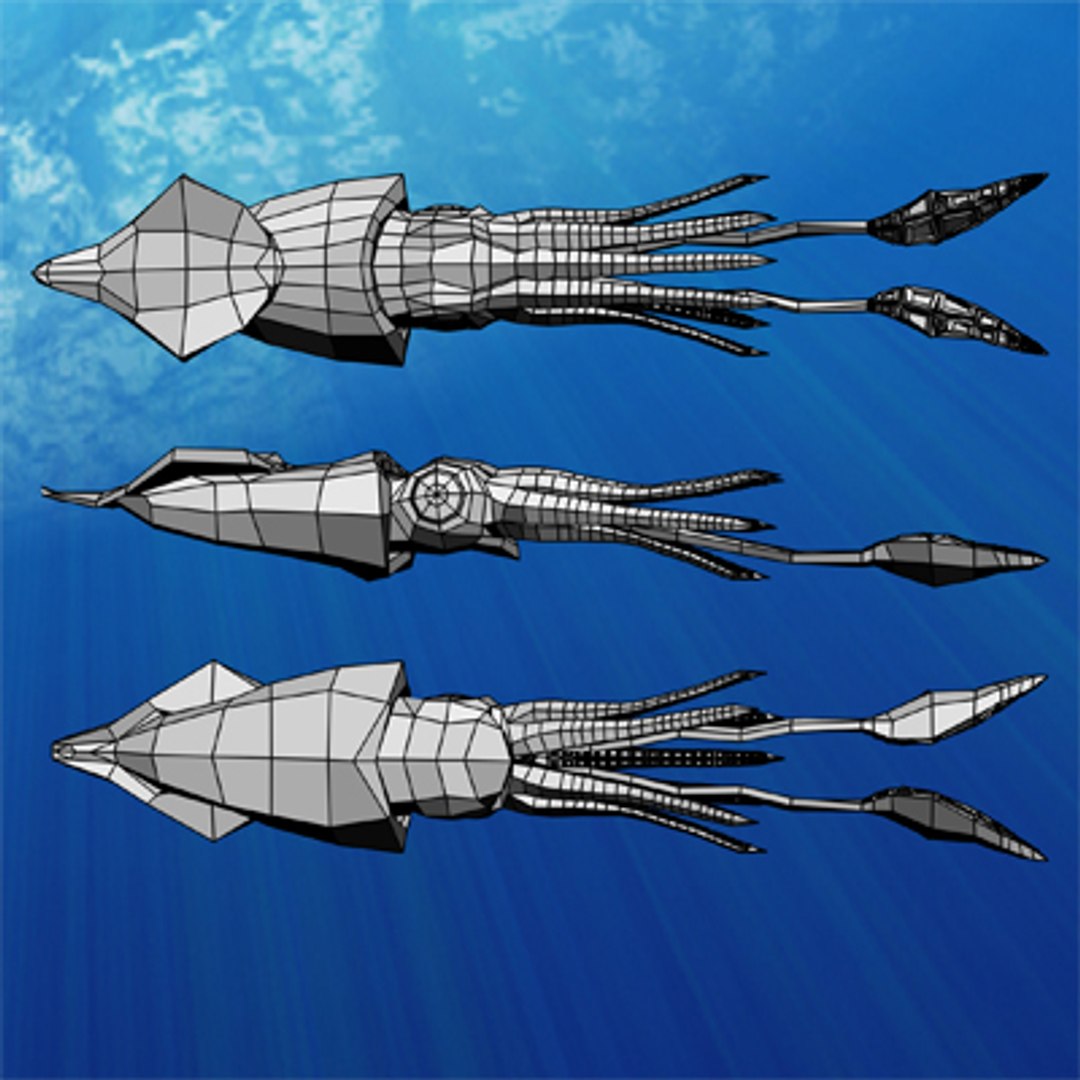 3dsmax Squid