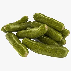 Pickle 3D Models for Download | TurboSquid