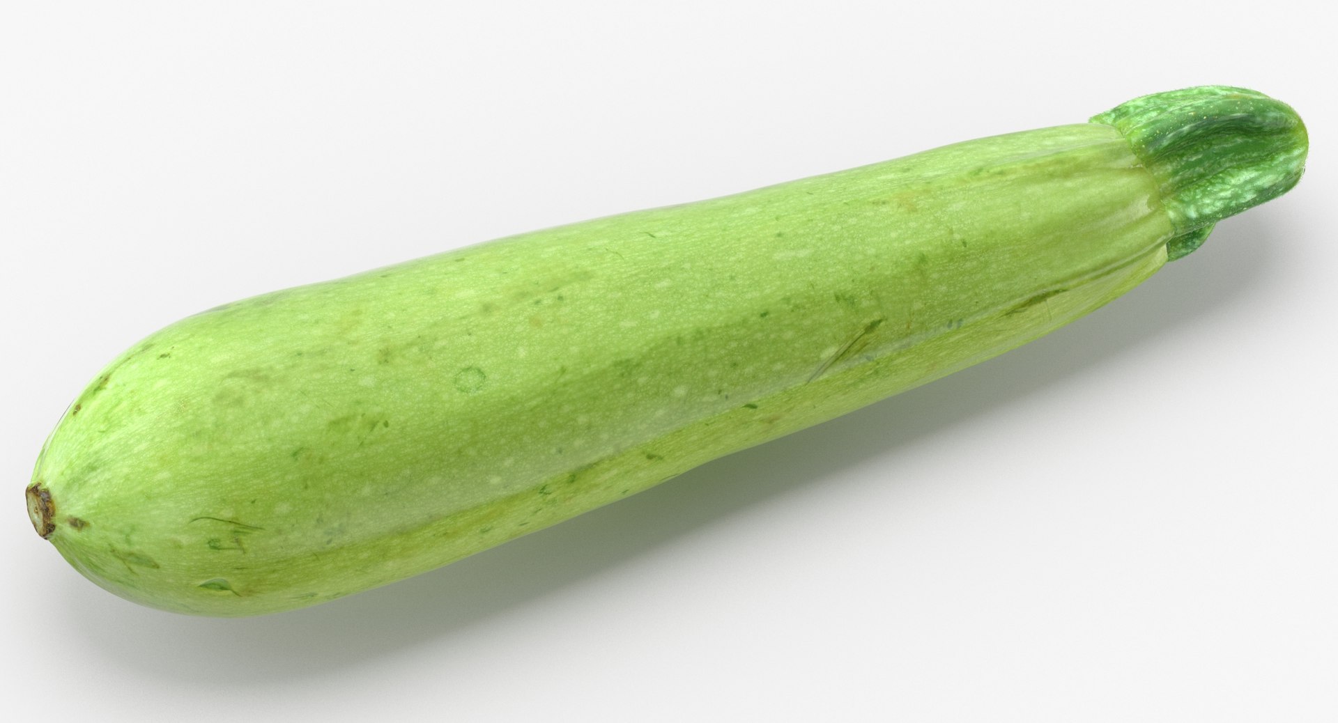 Cousa squash 01 3D model - TurboSquid 1473075