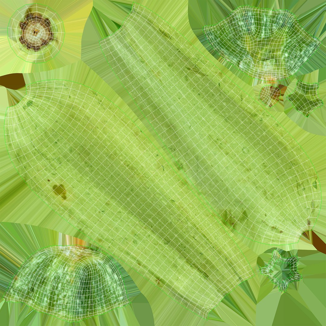 Cousa squash 01 3D model - TurboSquid 1473075